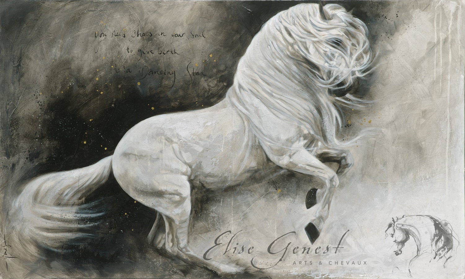 Dancing Star MJJ_finale | Elise Genest Arts et Chevaux